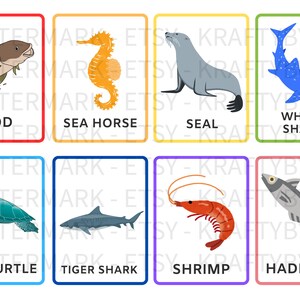 56 Printable Learning Sea Marine Animals Flashcards for Kids, Aquarium ...