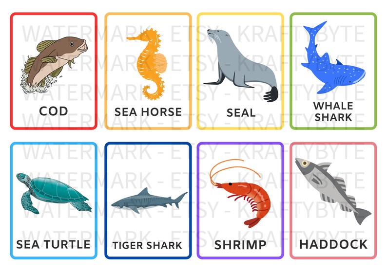 56 Printable Learning Sea Marine Animals Flashcards for Kids, Aquarium ...
