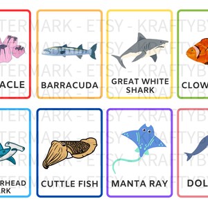56 Printable Learning Sea Marine Animals Flashcards for Kids, Aquarium ...