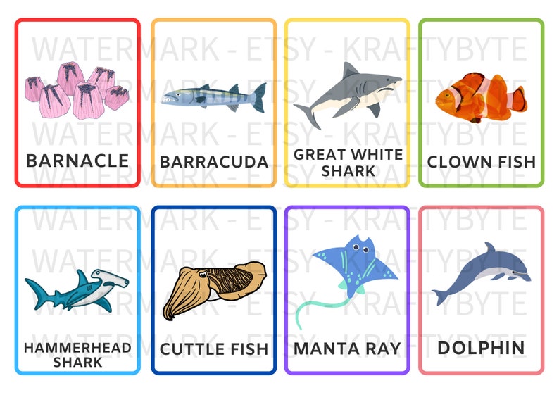 56 Printable Learning Sea Marine Animals Flashcards for Kids, Aquarium ...