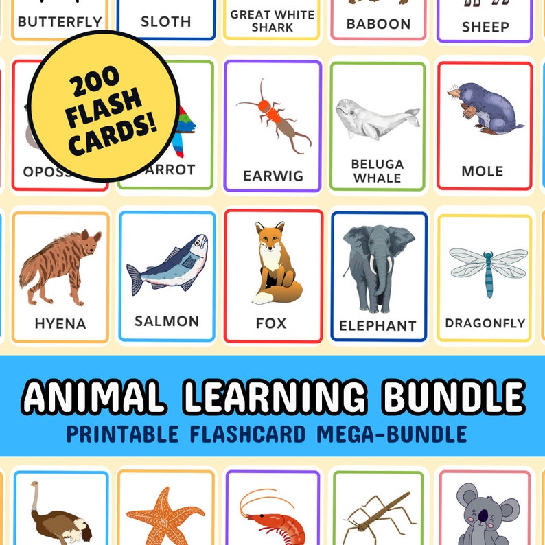 200 Printable Learning Insects Animals Flashcards for Kids, Hunting ...