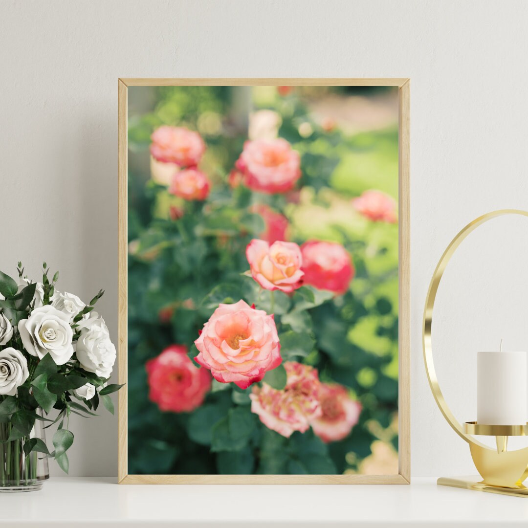 Roses Art Print, Rose Print, Rose Photo, Pink Wall Print, Rose Art ...