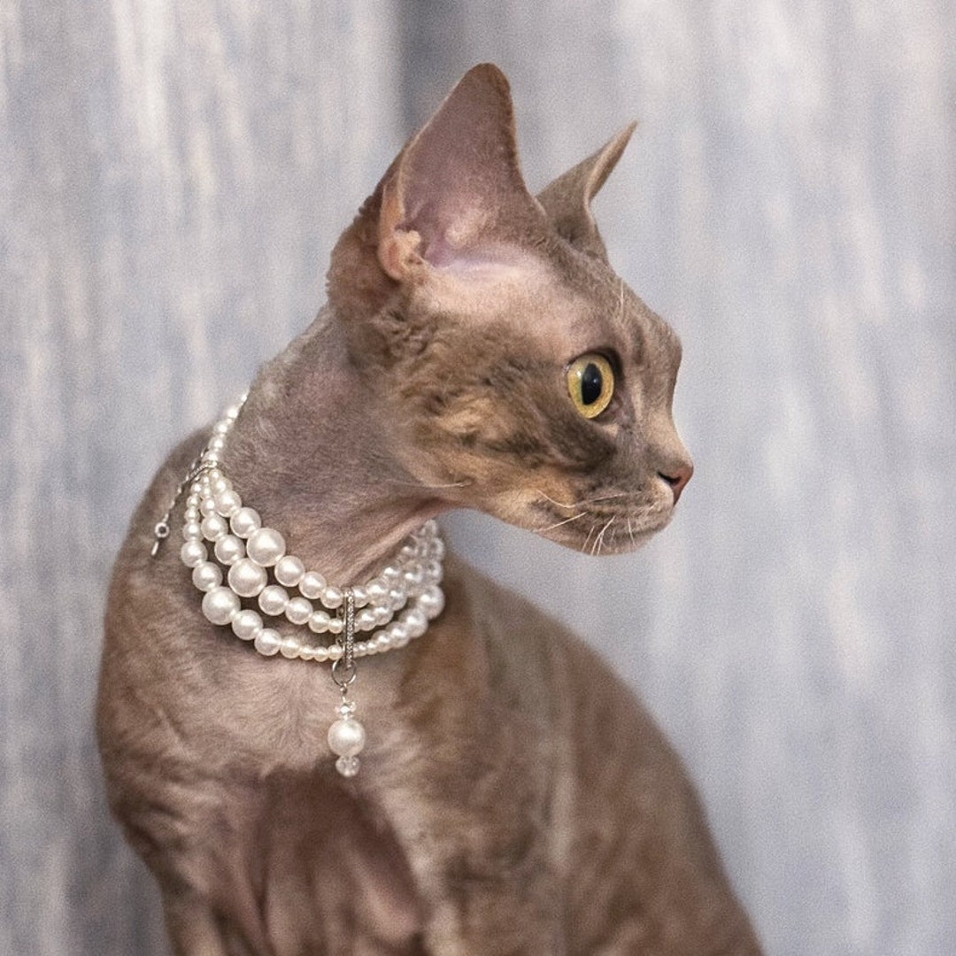 Pearl Collar Cat, Pearl Dog Collar Necklace, Kitten Collar, Three Layer ...