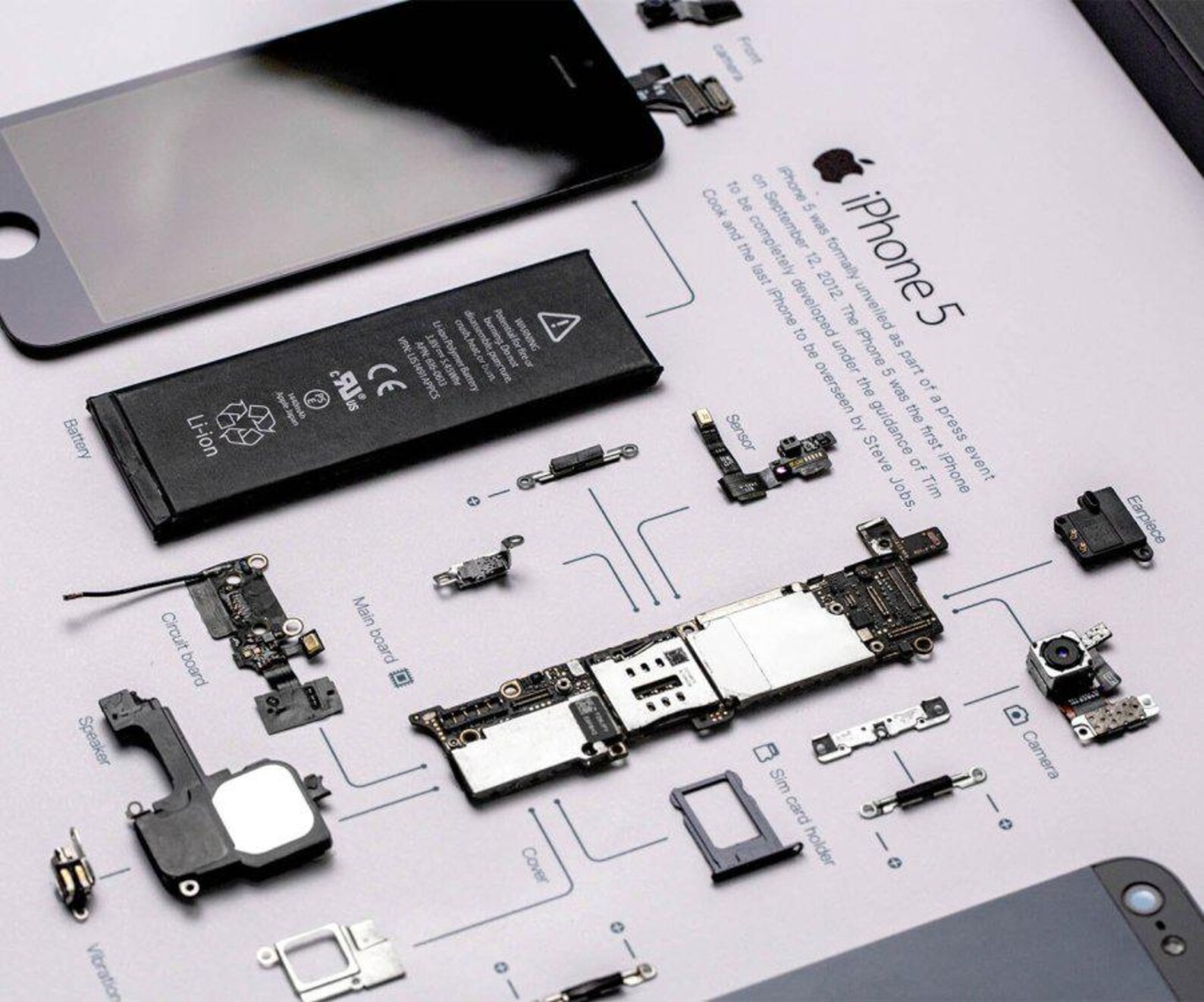 Apple iPhone 5 Teardown Digital Template - Etsy