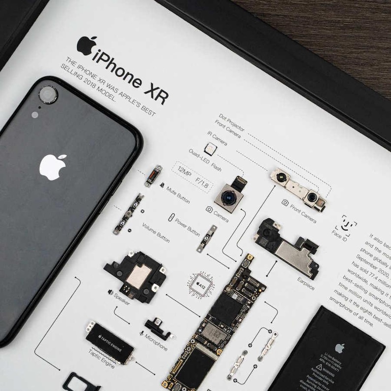Apple iPhone XR Teardown Digital Template - Etsy