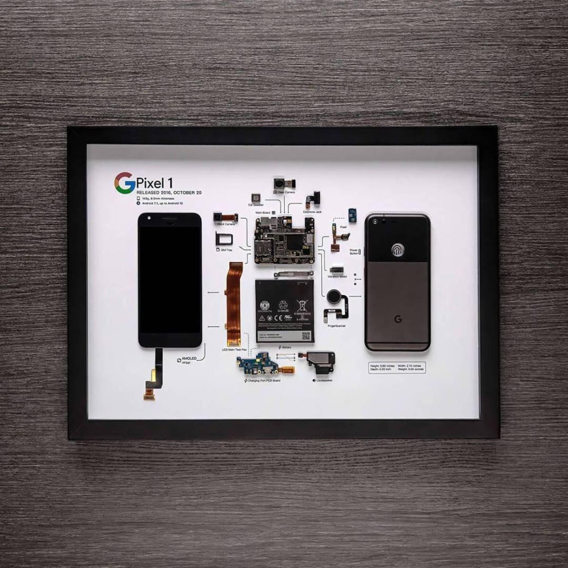 Google Pixel (1st Generation) Teardown Digital Tewmplate - Etsy