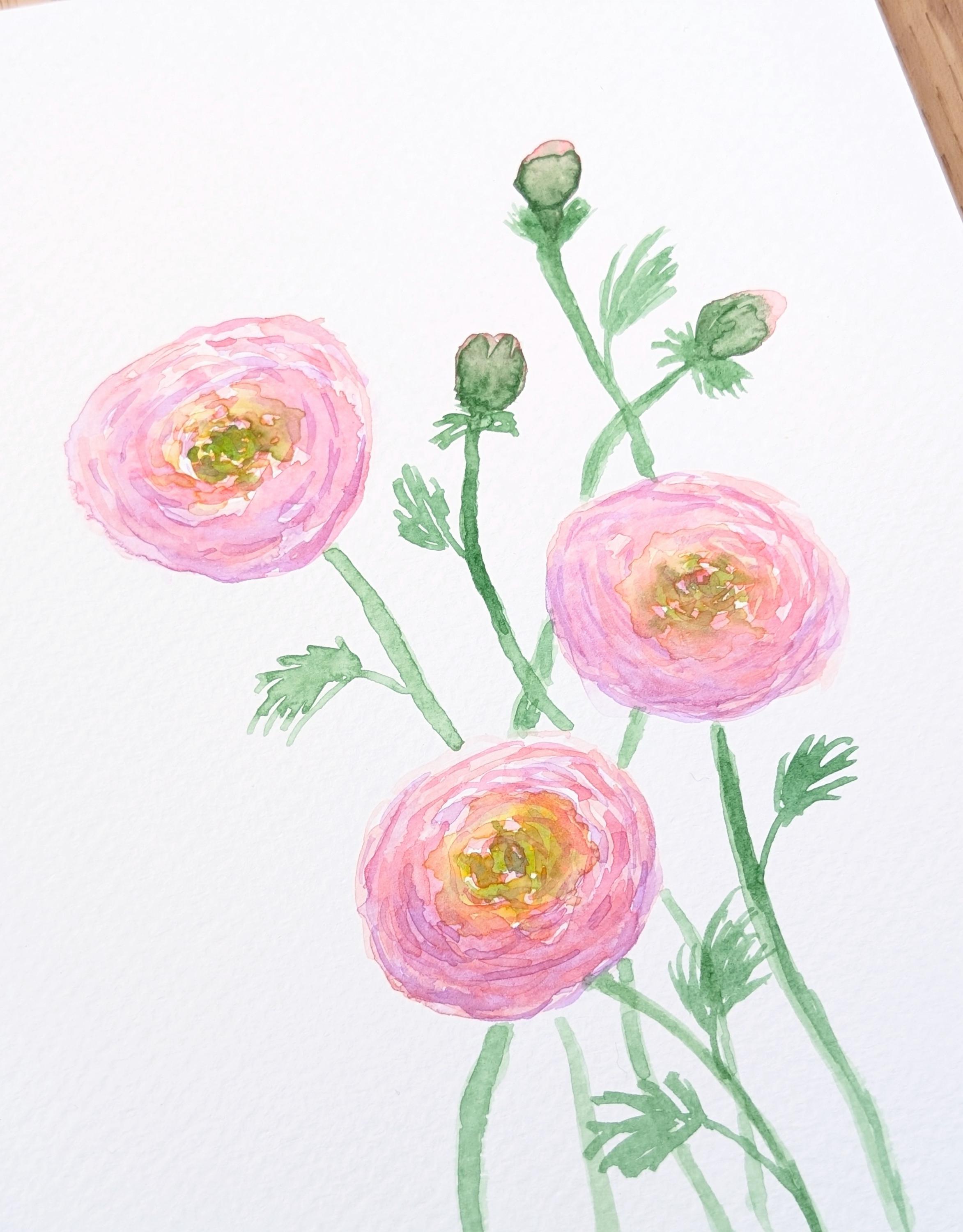 Hand-painted Pink Ranunculus Original Watercolour Spring Painting ...