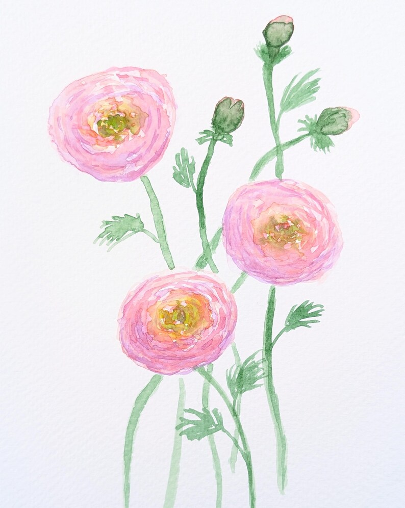 Hand-painted Pink Ranunculus Original Watercolour Spring Painting ...