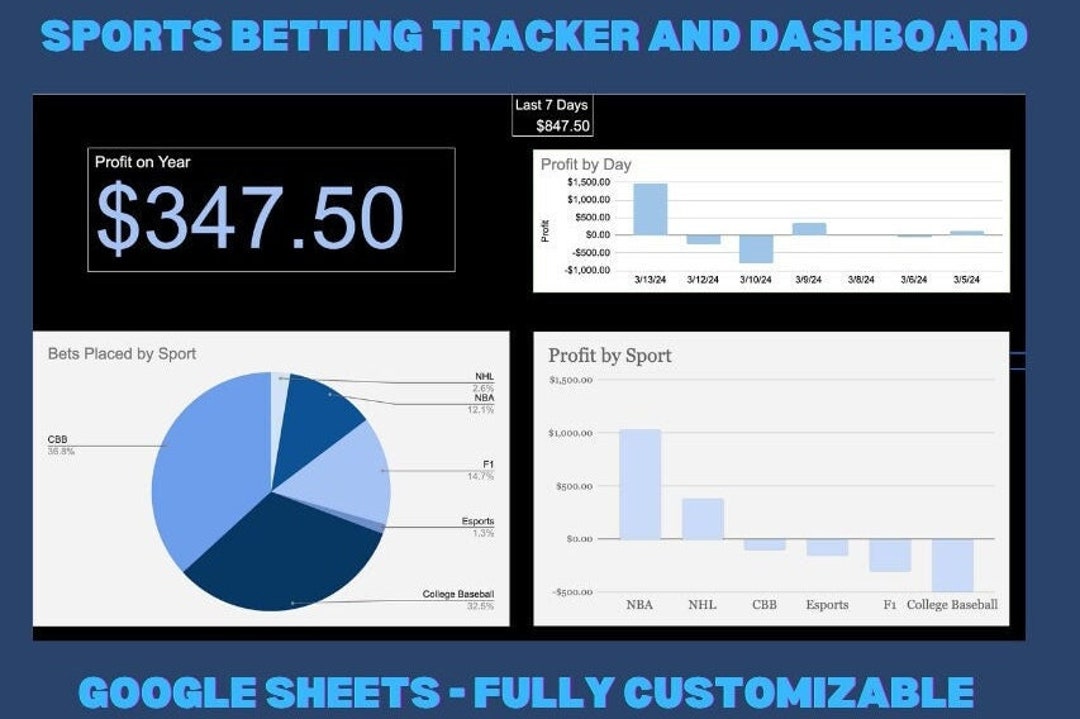 Sports Betting Tracker W/dynamic Charts and Data - Etsy