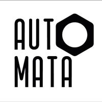 Automaton - Duck - Etsy