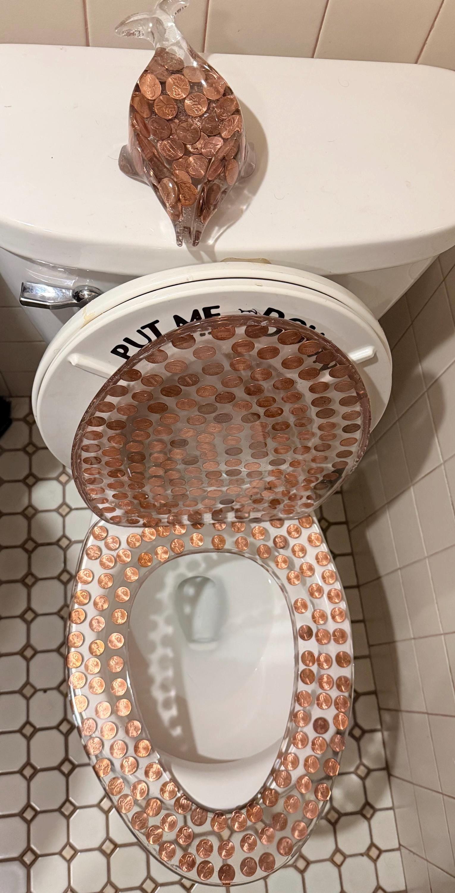 Custom to Match Pennies Toilet Seat: Crystal Clear Resin Pennies ...