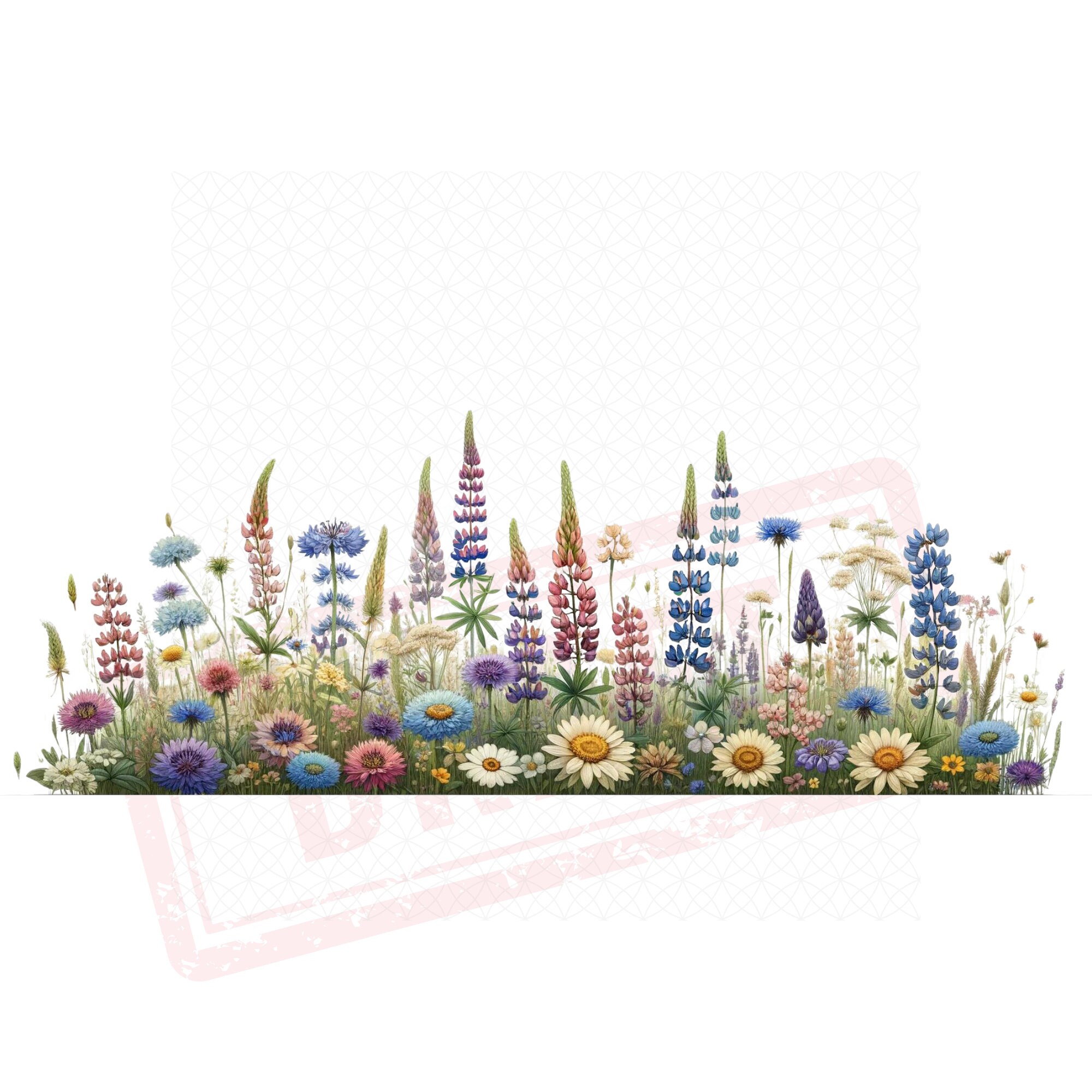 Wildflowers Border Clipart: Digital Watercolor, High Quality Jpgs for ...