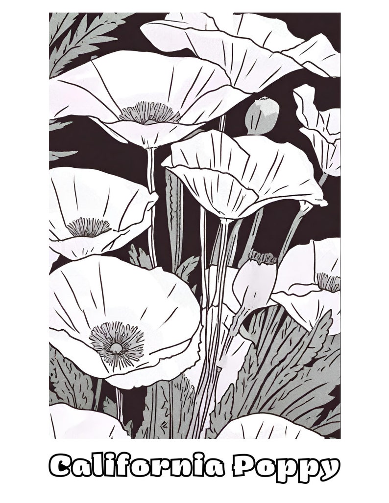 State Flower Coloring Pages Printable State Flowers USA Alabama ...