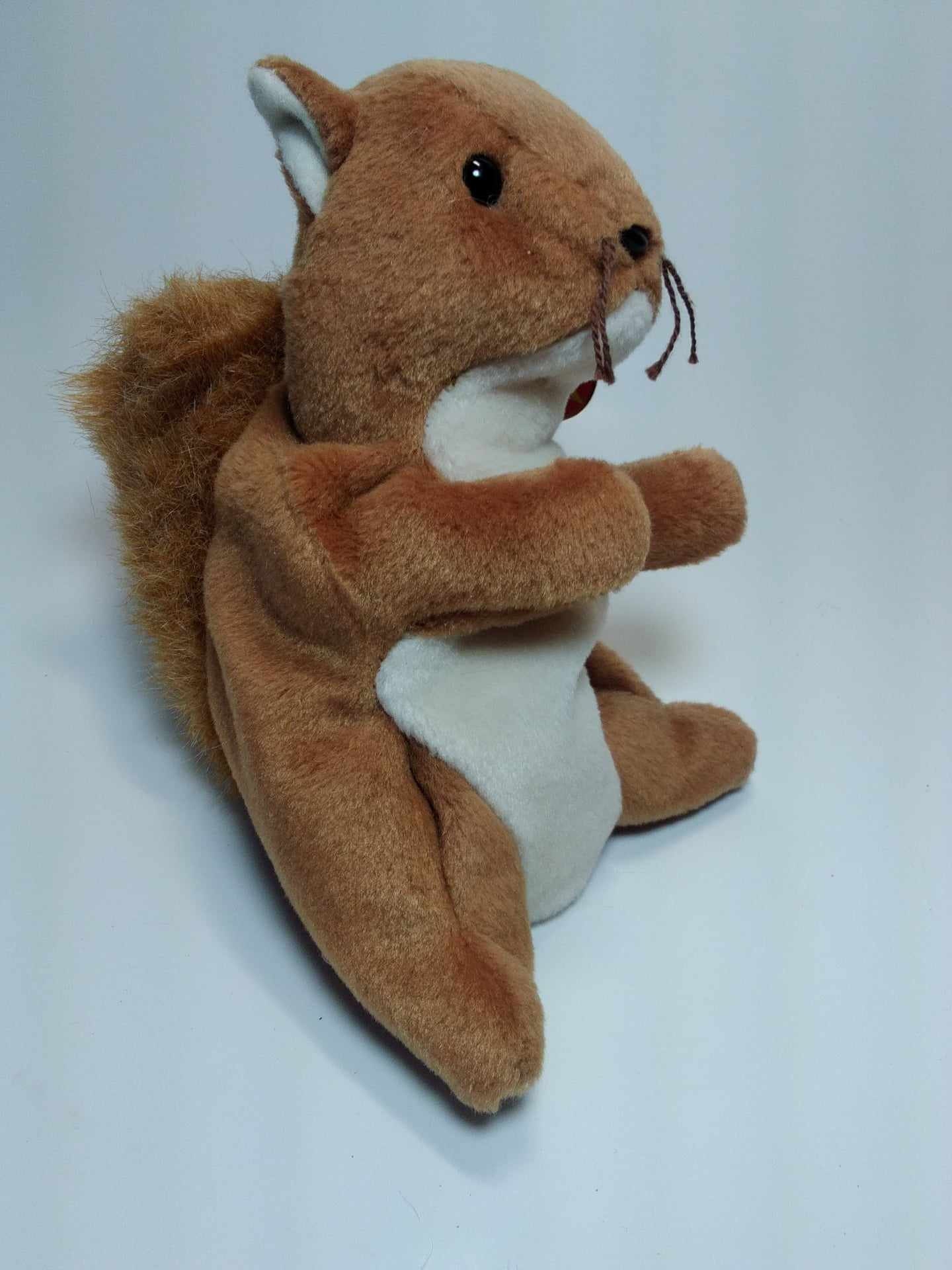 1996 TY Beanie Baby nuts the Squirrel, Original, P.V.C. Pellets, Mint ...