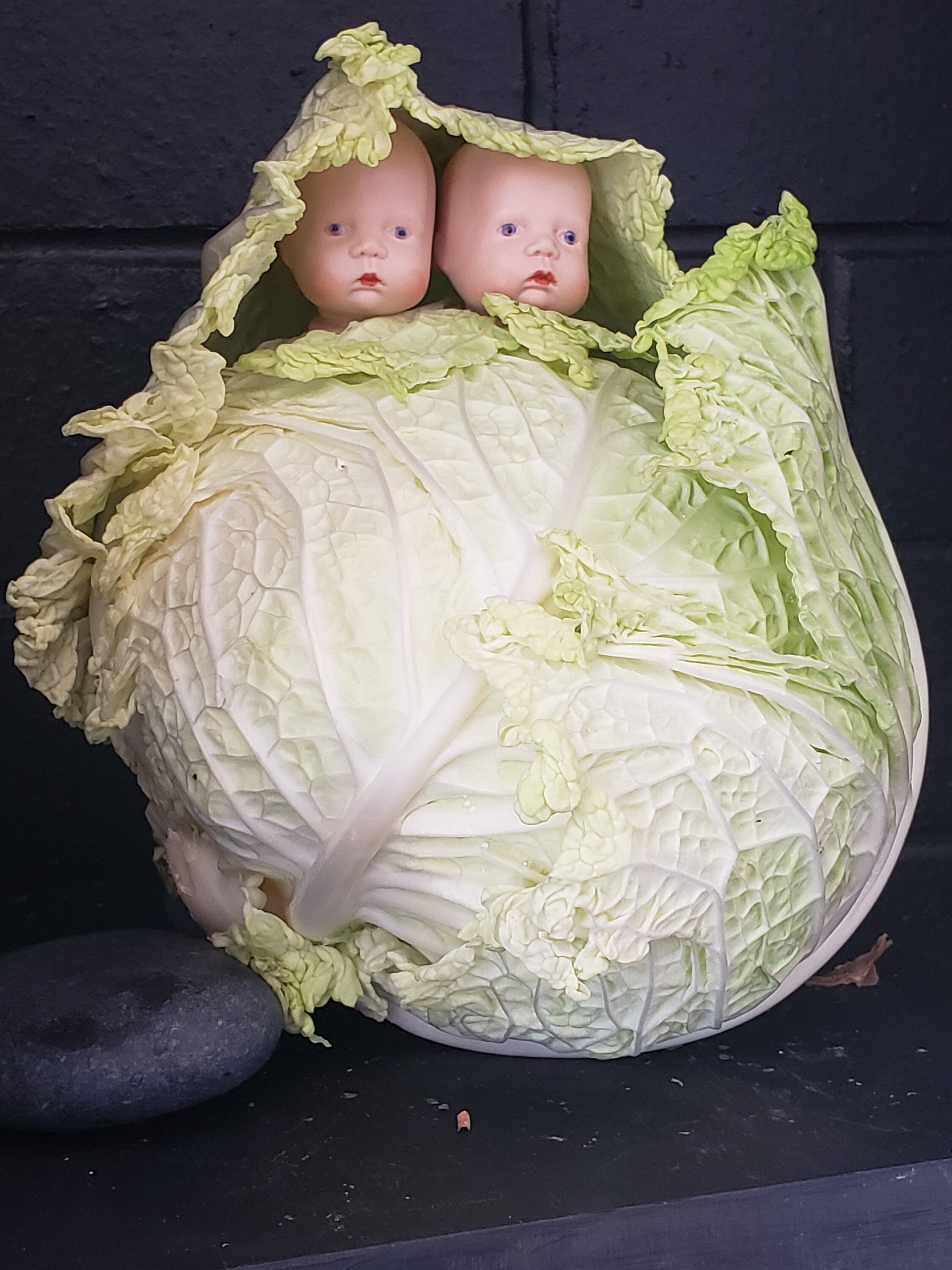 Baby Cabbage Art Photo Print 8x10 Image, Unframed. - Etsy