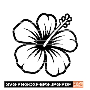 Hibiscus Flower Outline SVG, PNG, DXF, Tropical Floral Clipart, Beach ...