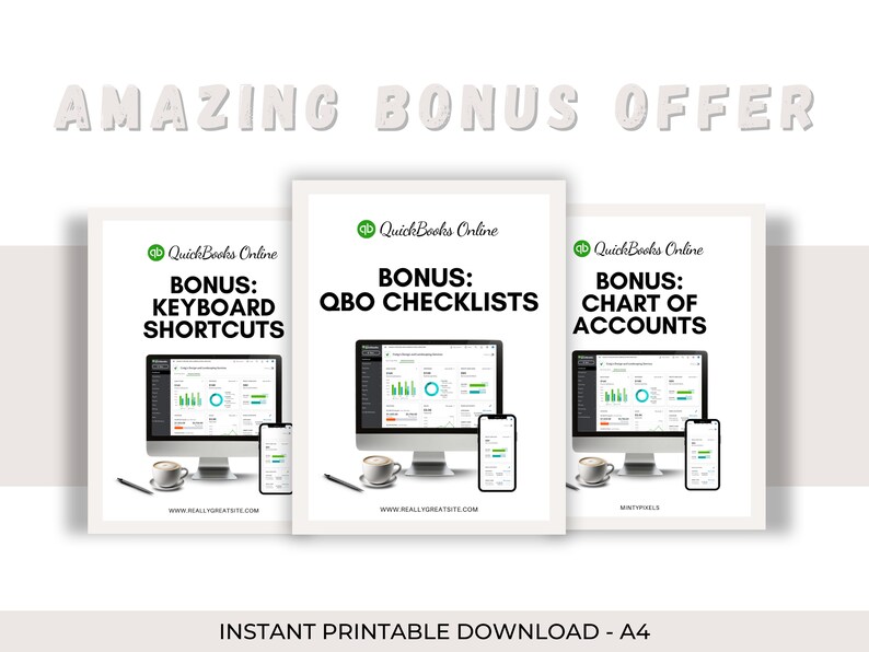 Quickbooks Beginner's Guide EBOOK: for Setting up and Managing Finances ...