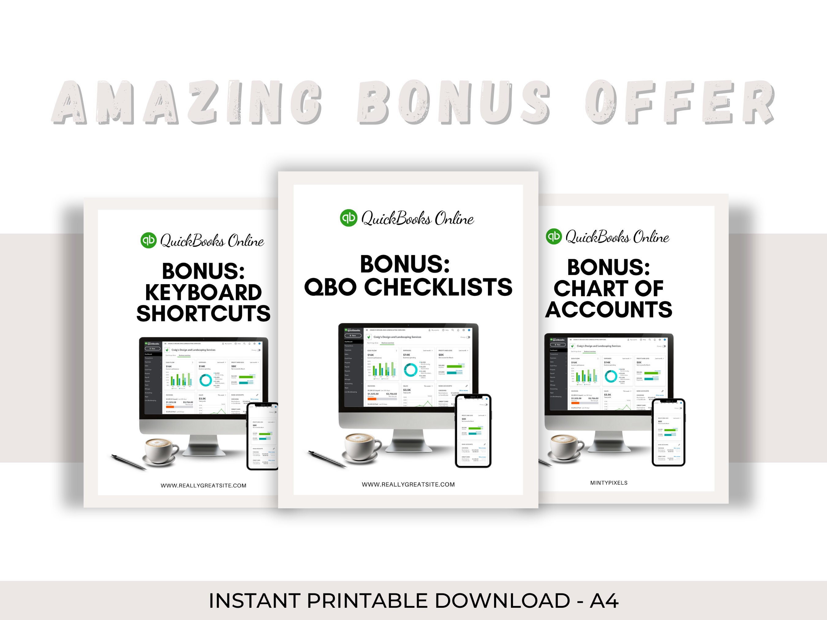 Quickbooks Beginner's Guide EBOOK: for Setting up and Managing Finances ...