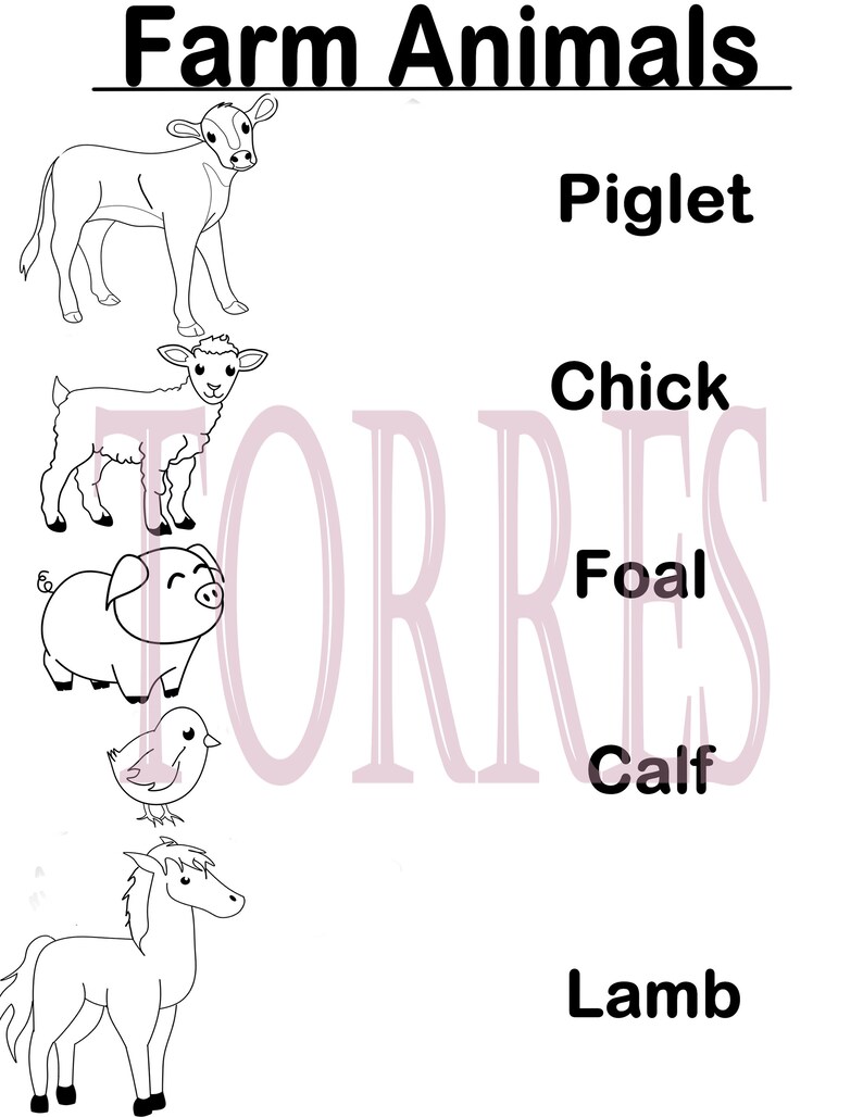 Farm Animals Coloring and Tracing Worksheets for Children's Learning ...
