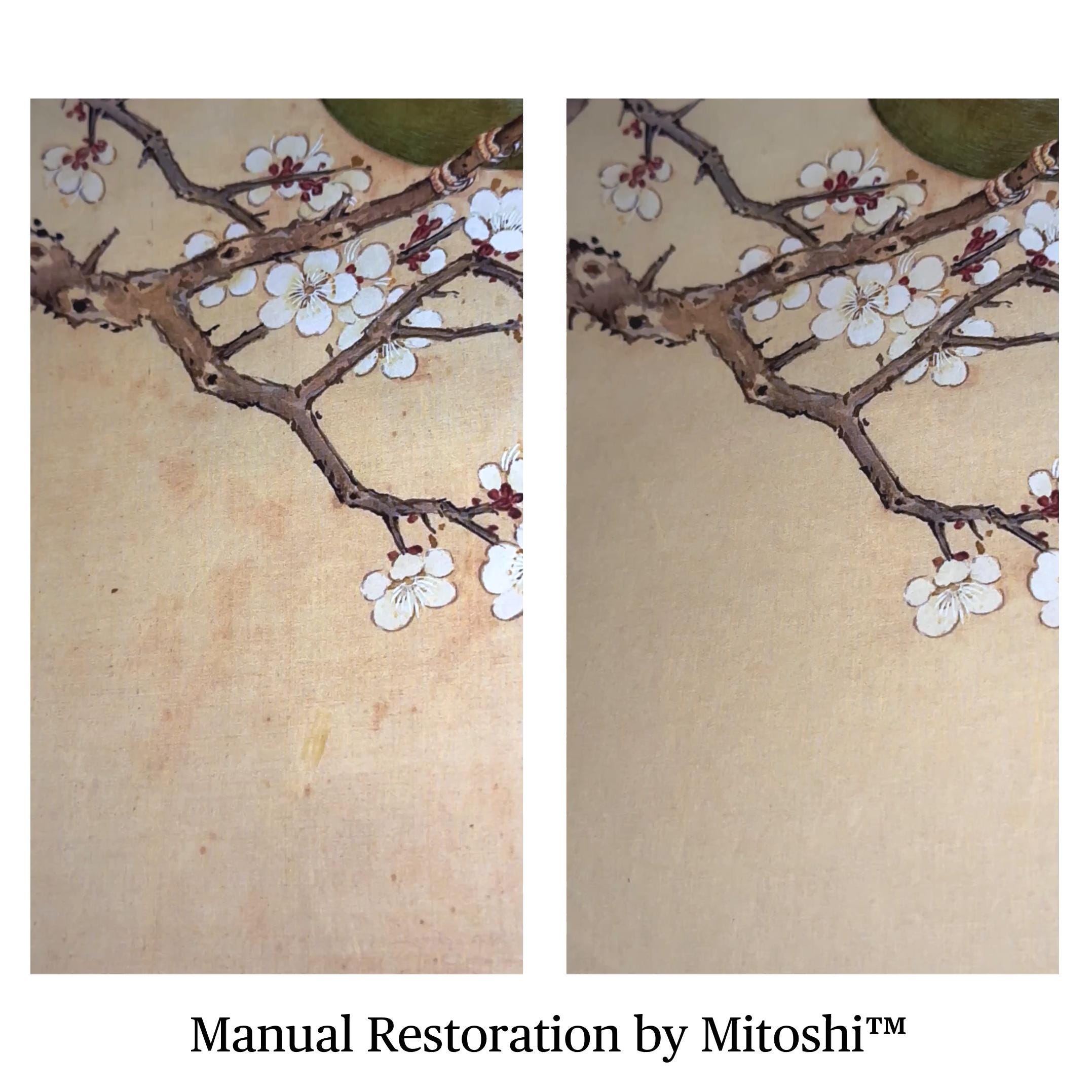 1779 Japanese Jimsonweed Painting for Shogun Tokugawa Ieharu| Antique ...