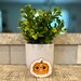 Cute Pumpkin Sticker, Fall Waterbottle Sticker, Halloween Waterproof ...
