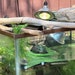 FLOATING Basking Zone for Aquatic Turtle - CUSTOM DESIGN - Etsy