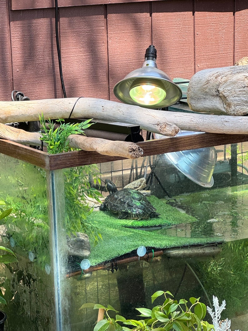 FLOATING Basking Zone for Aquatic Turtle - CUSTOM DESIGN - Etsy