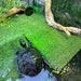 FLOATING Basking Zone for Aquatic Turtle - CUSTOM DESIGN - Etsy