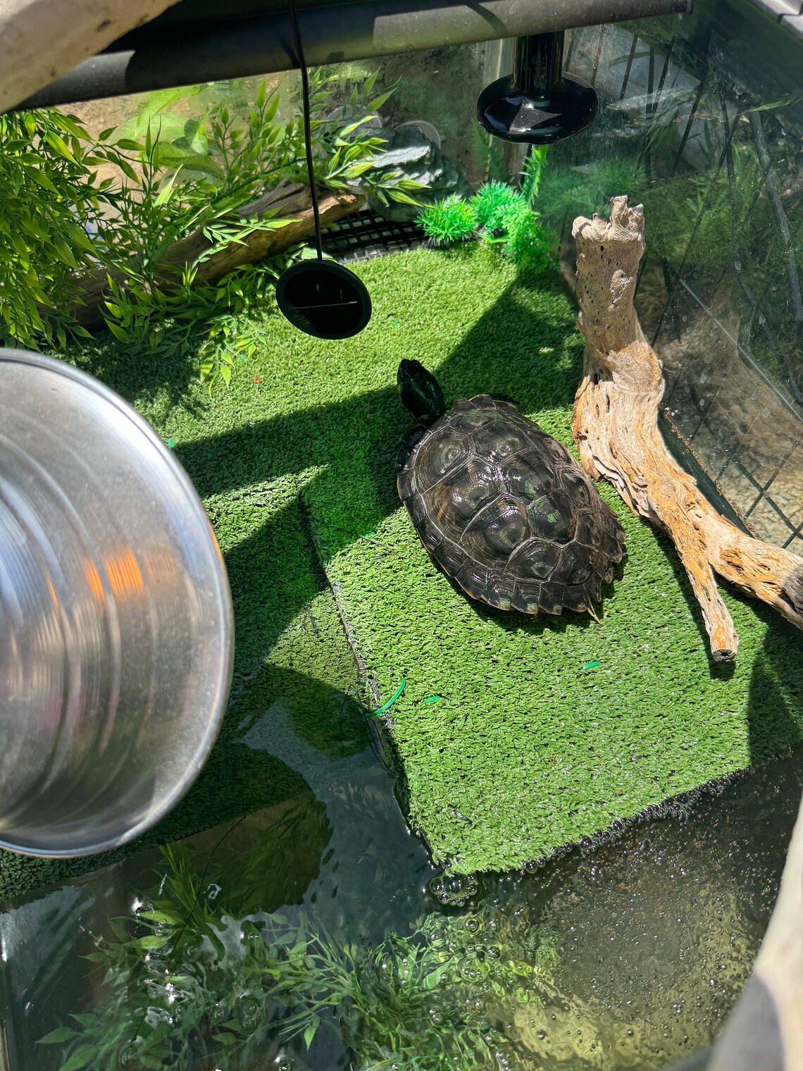 FLOATING Basking Zone for Aquatic Turtle - CUSTOM DESIGN - Etsy