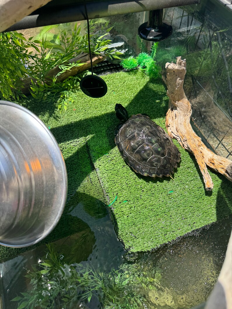 FLOATING Basking Zone for Aquatic Turtle - CUSTOM DESIGN - Etsy