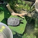 FLOATING Basking Zone for Aquatic Turtle - CUSTOM DESIGN - Etsy