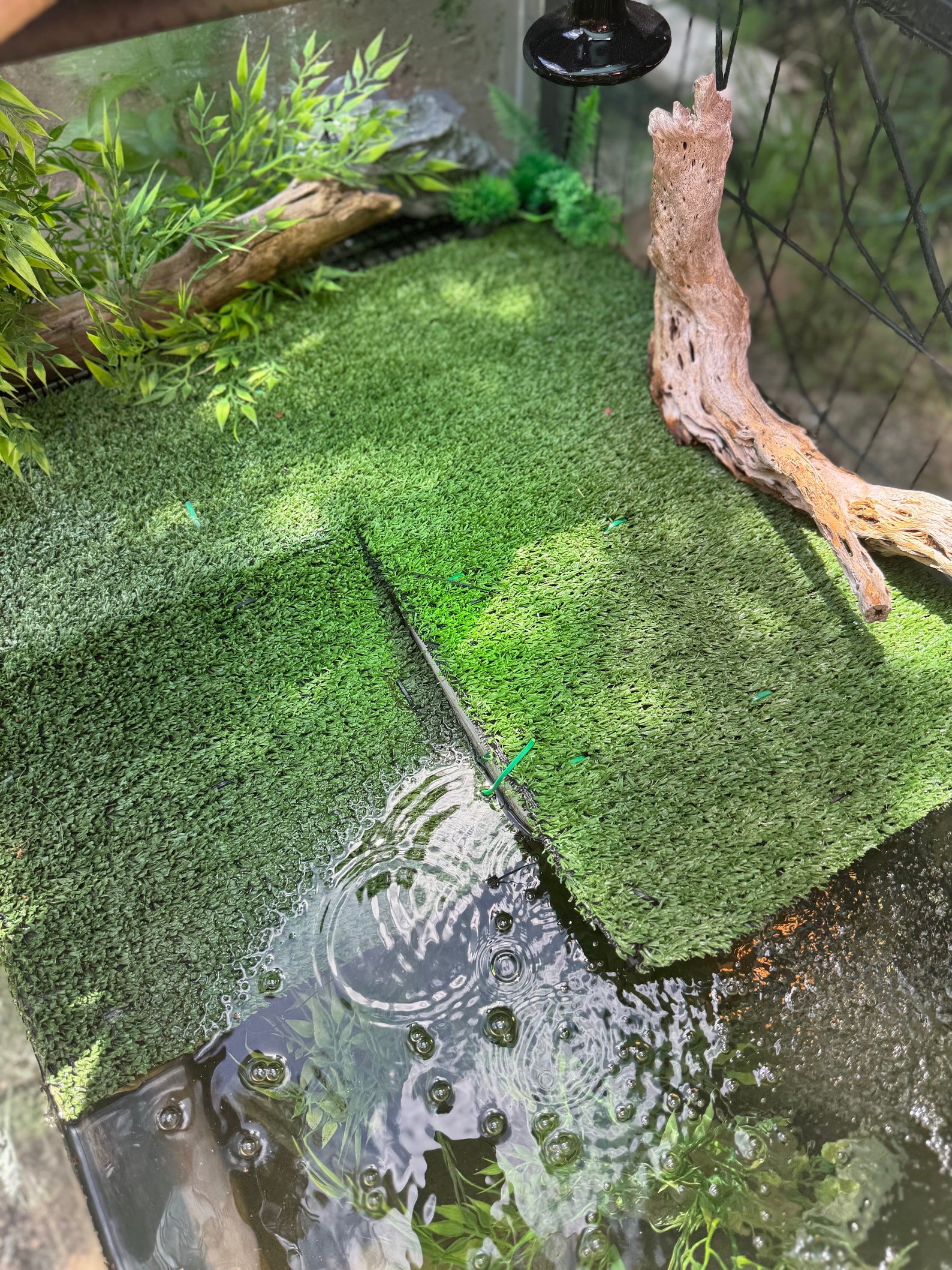 FLOATING Basking Zone for Aquatic Turtle - CUSTOM DESIGN - Etsy