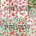 25 Watercolor Watermelon Digital Paper Designs - Seamless Printable ...