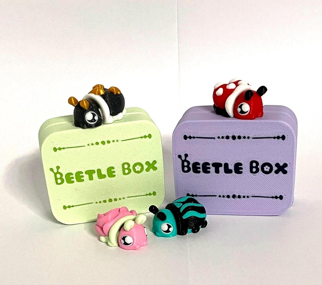 3D Printed Beetle Box Play Set With 2 Flexi Beetles, Keychain Beetles ...