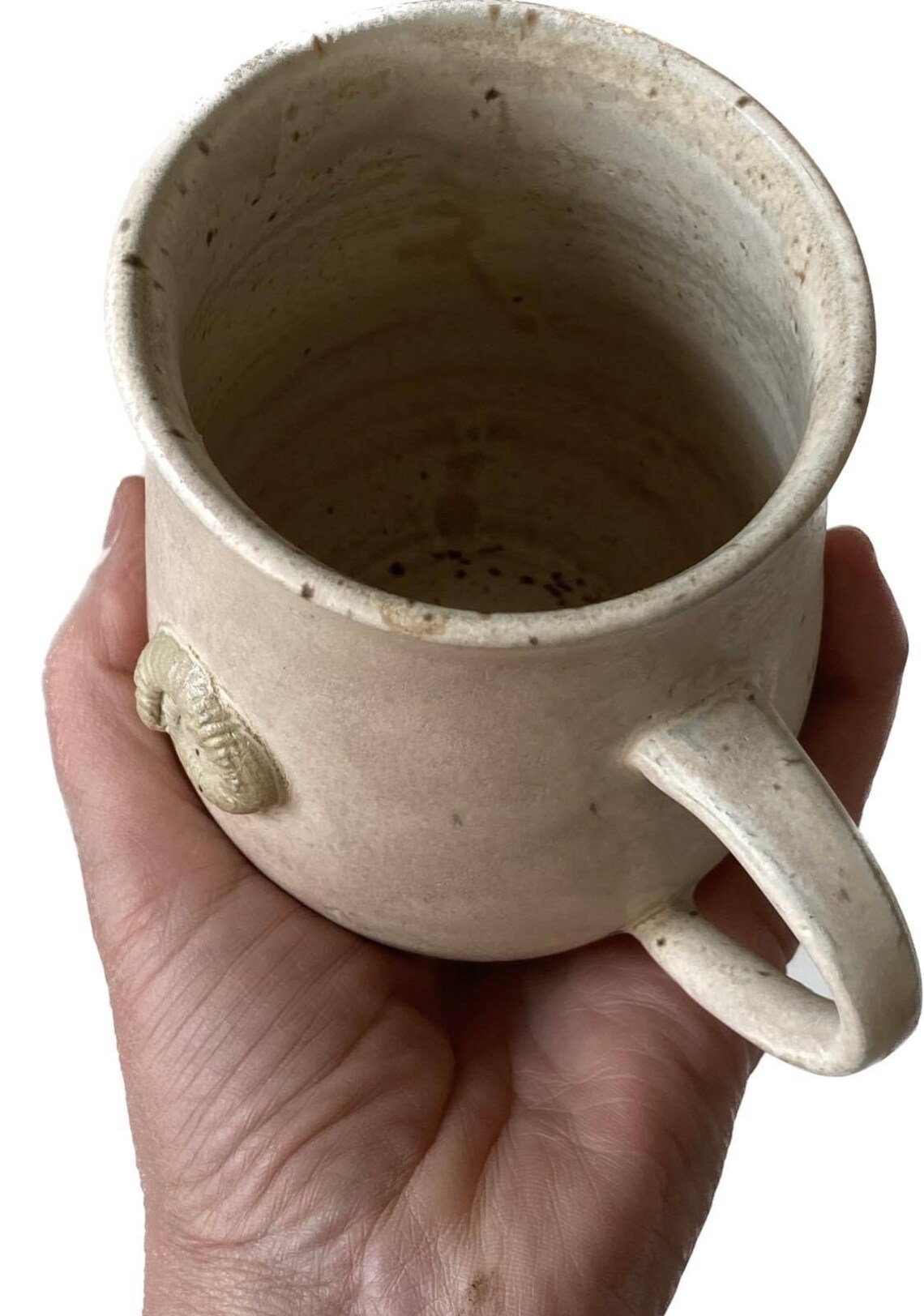 Ammonite Cup, Ceramic Cup With Ammonite, Pottery Cup With Ammonite - Etsy