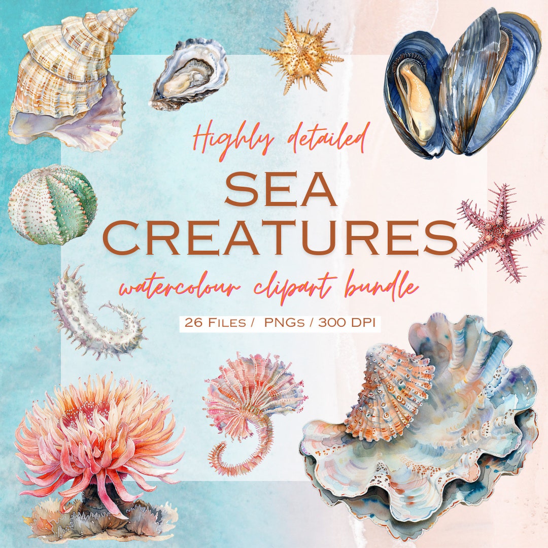 PRINTABLE Sea Ocean Creatures Watercolour Clipart STEM Science Nursery ...