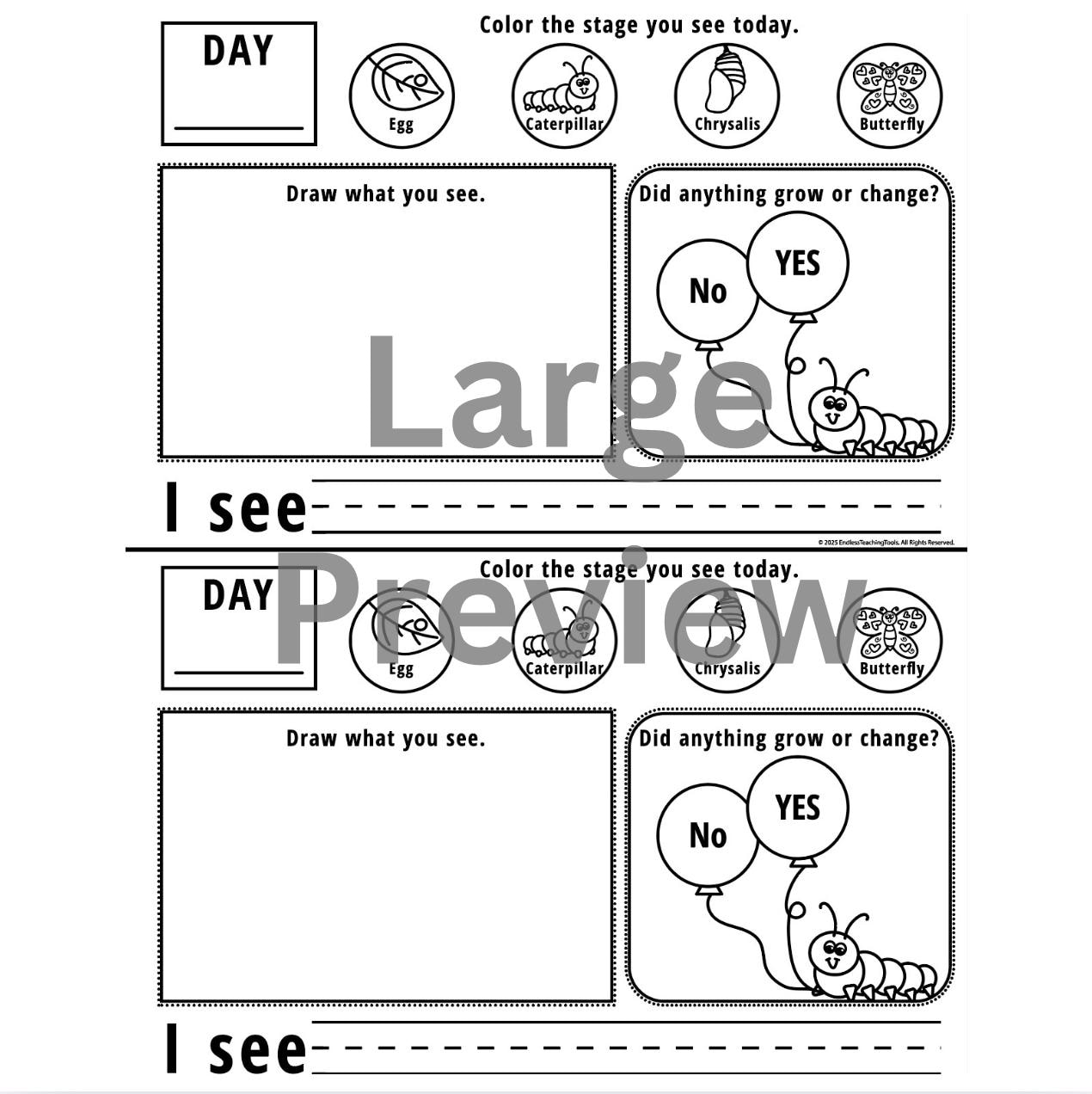Butterfly Life Cycle Observation Journal | Spring Science for K-2 ...