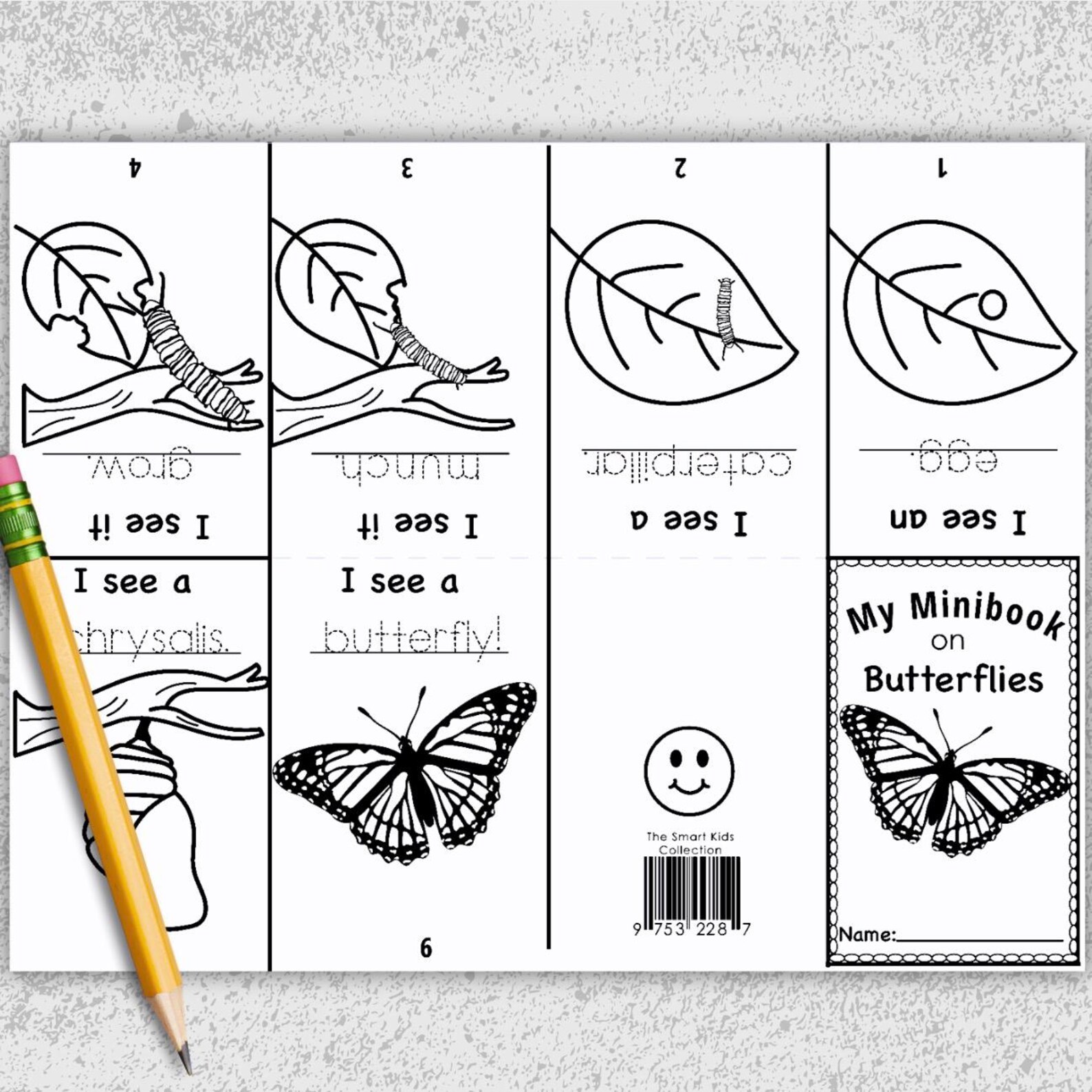 Butterfly Life Cycle Mini Book Printable | Trace, Color, Read Spring ...
