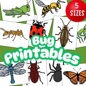 Printable Insect Template Bug Cutouts - Etsy
