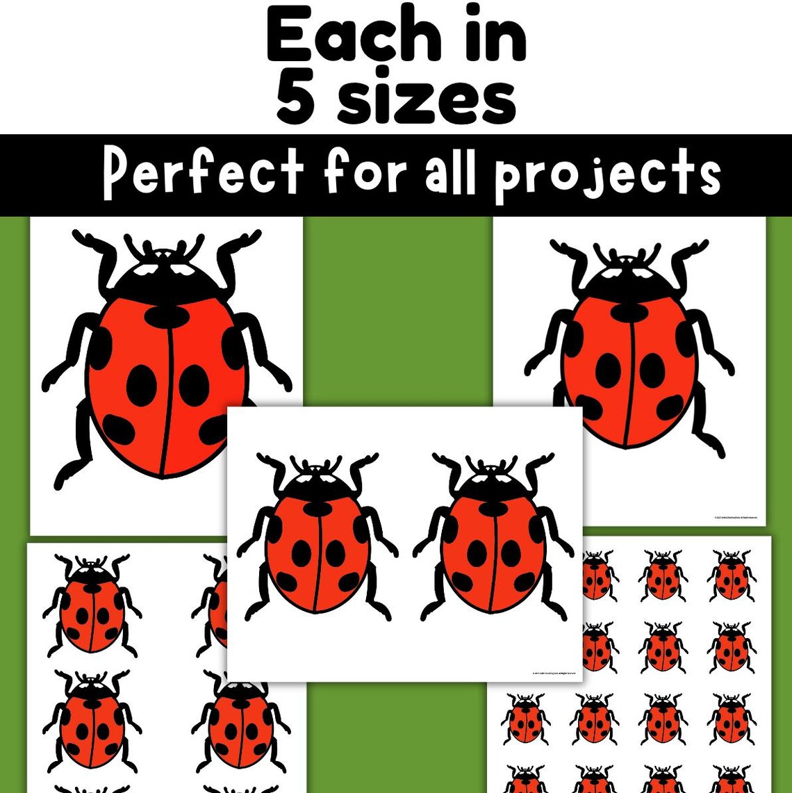 Printable Insect Templates: Bug Cutouts for Crafts, Science Projects ...