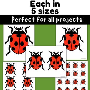 Printable Insect Templates: Bug Cutouts for Crafts, Science Projects ...