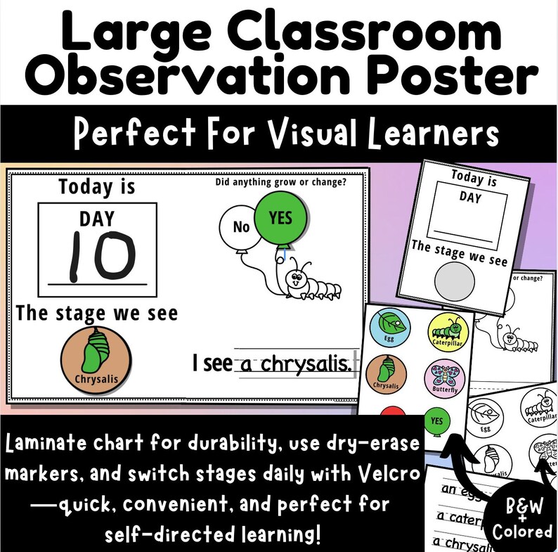 Butterfly Life Cycle Observation Journal | Spring Science for K-2 ...