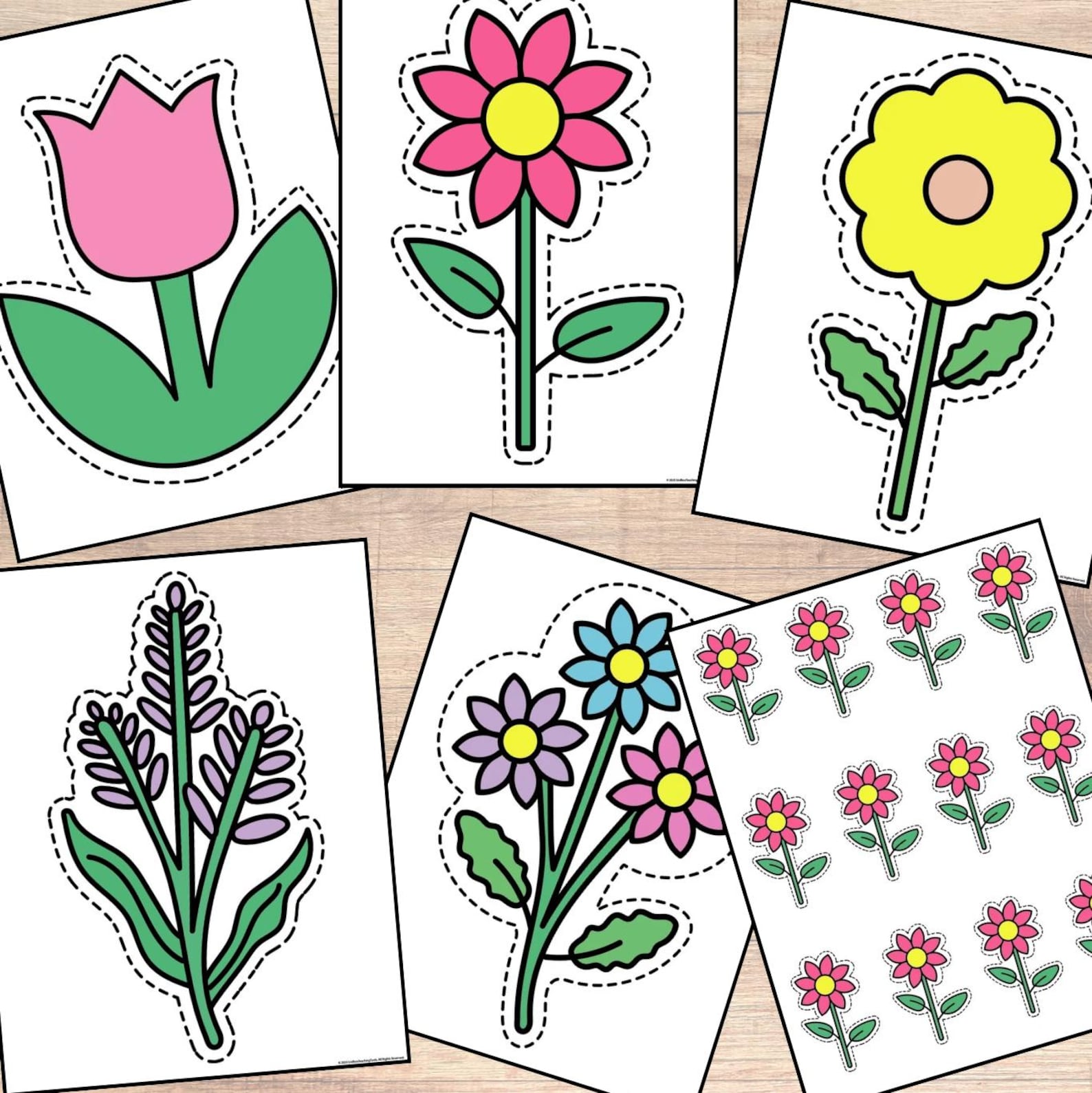 Colorful Flower Cut-outs – 5 Vibrant Designs and 5 Sizes | Printable ...