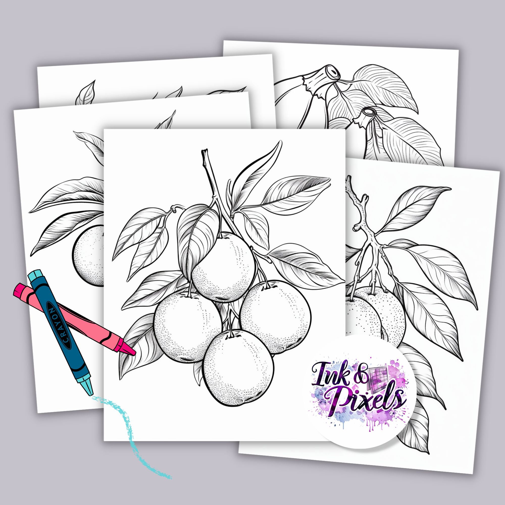 Fruit Coloring Pages Coloring Book Instant Download Printable Activity ...
