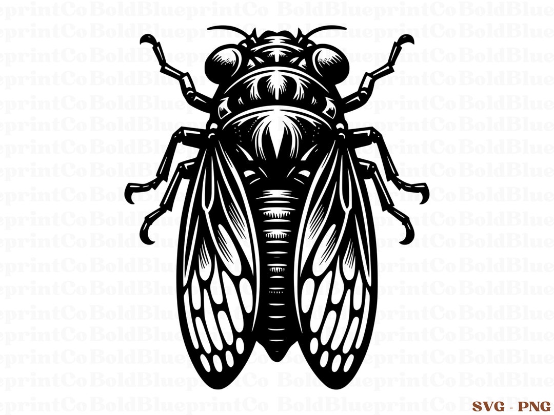 Cicada SVG, PNG, Cicada Clipart, Cicada Gift, Cicada Drawing, Year of ...