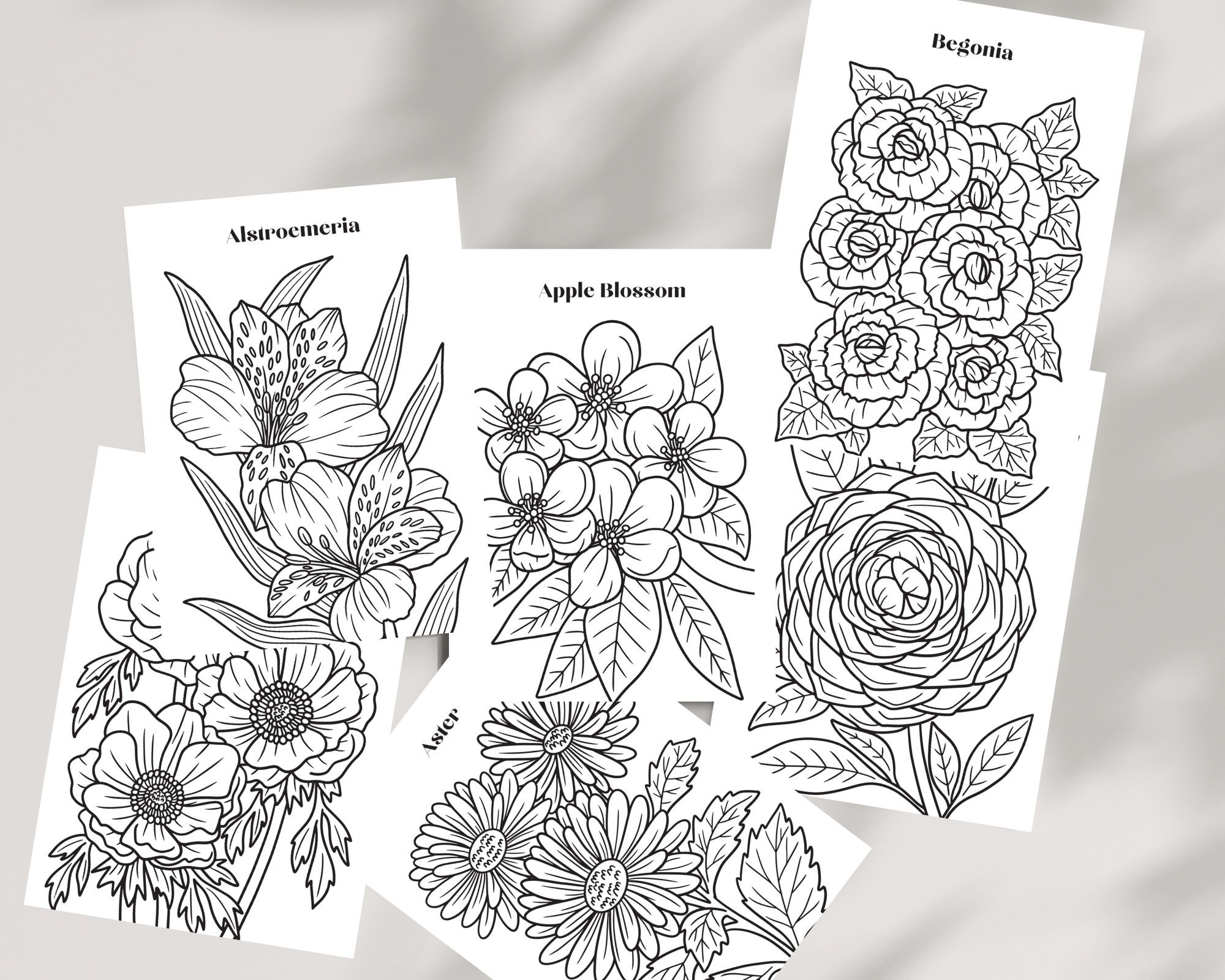 Botanical Flower Coloring Book Bundle, Relaxing Adult & Teen Instant ...