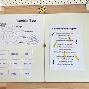 Bee Theme Activity Kit, Classroom Printables, Homeschool Learning ...