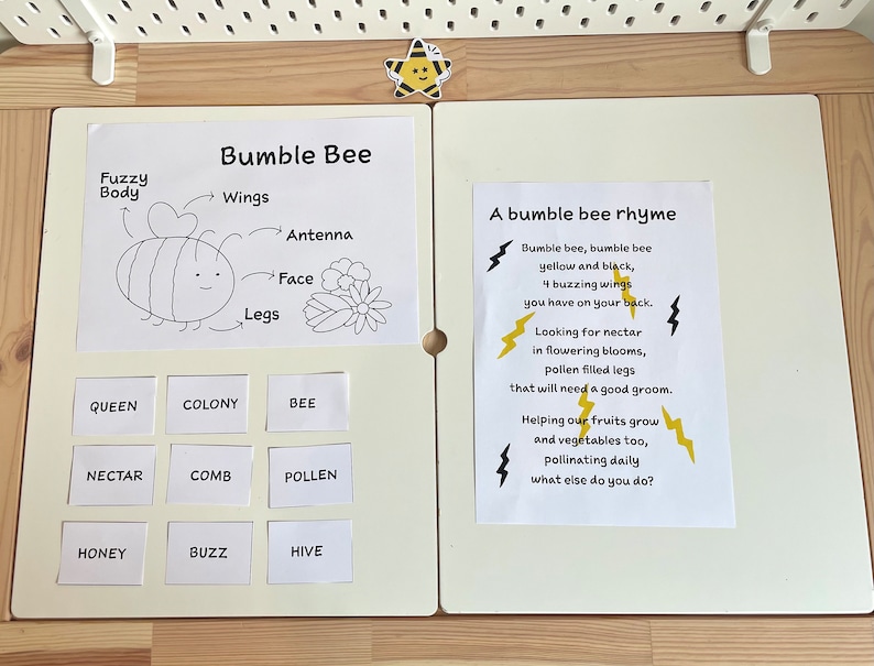Bee Theme Activity Kit, Classroom Printables, Homeschool Learning ...