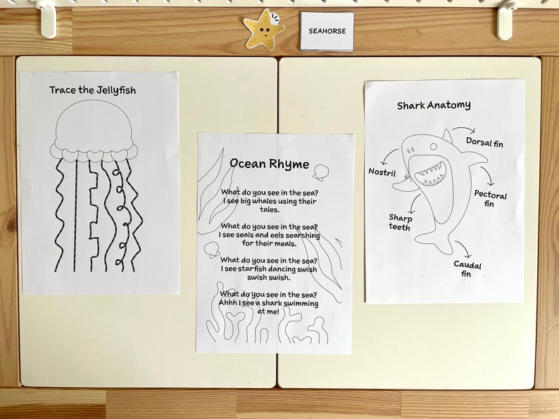Sea Life Ocean Activity Kit, Preschool Classroom Printables, Turtle ...