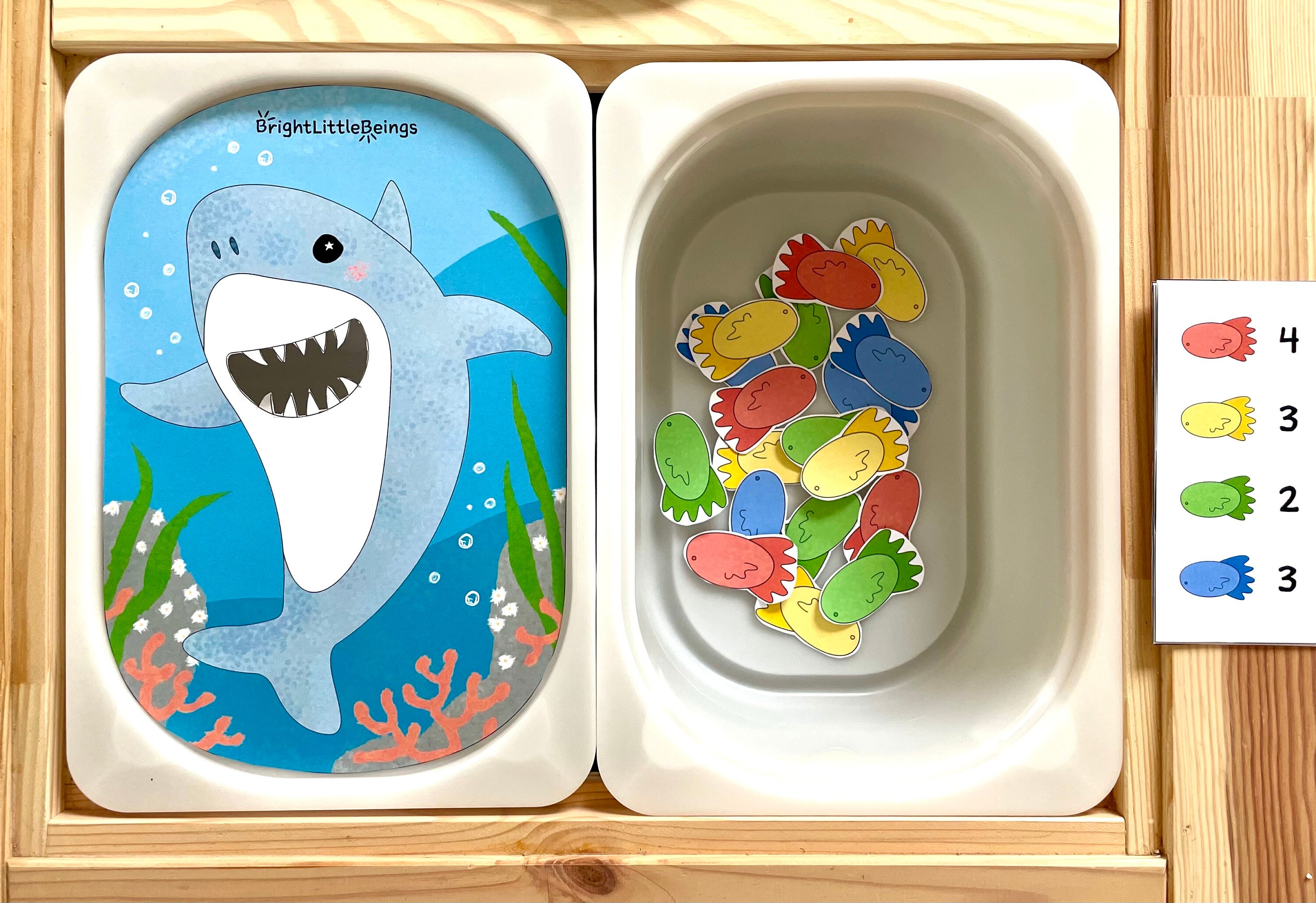 Sea Life Ocean Activity Kit, Preschool Classroom Printables, Turtle ...